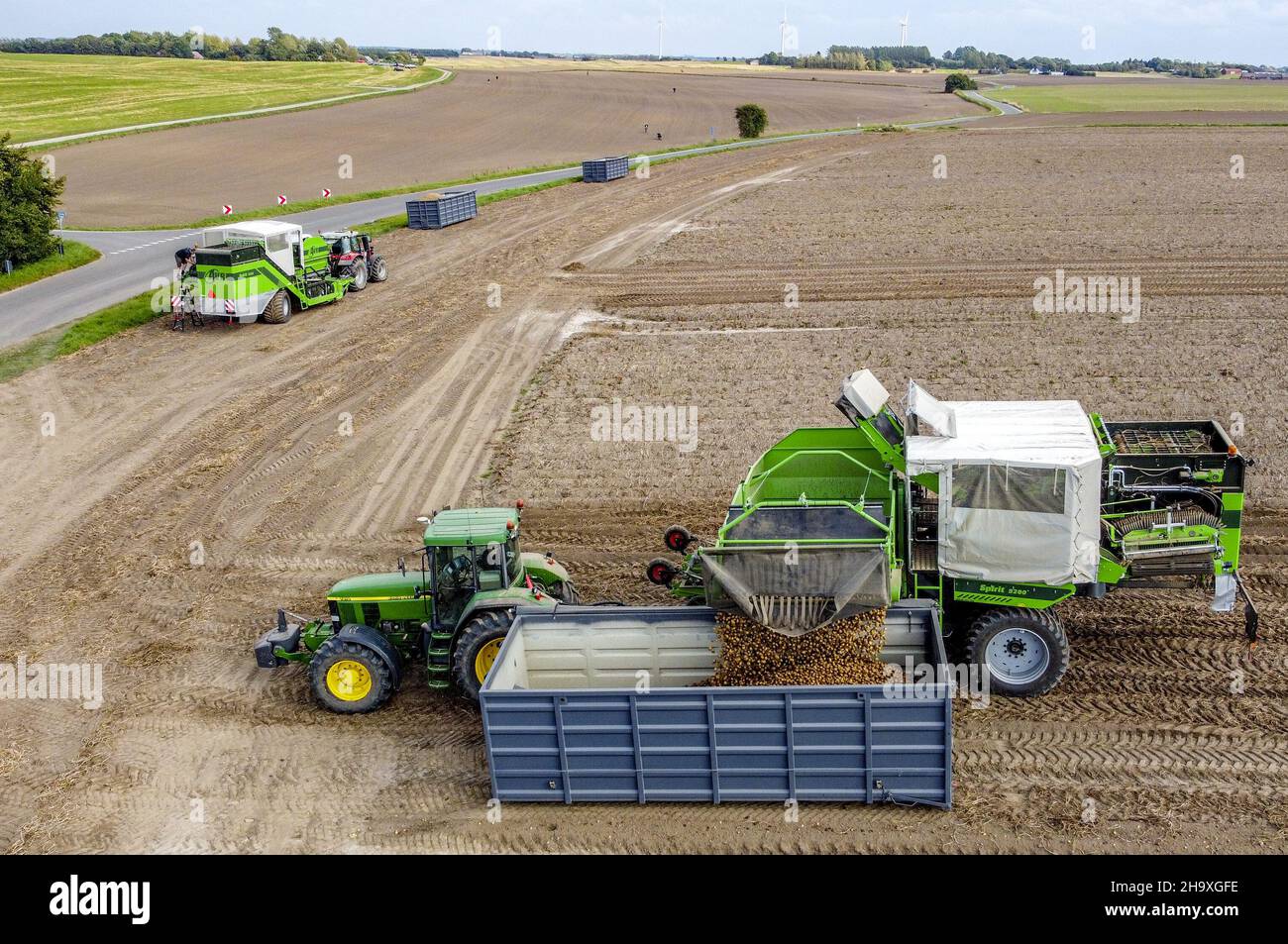 Farmer harvesting potatoes with detectorists in the background Stock ...