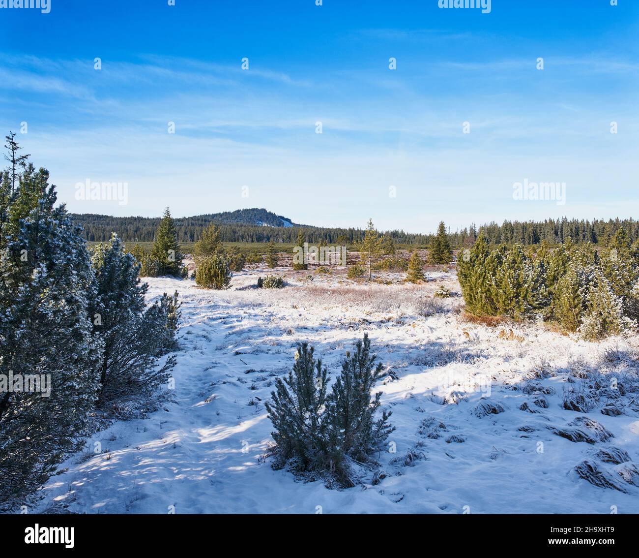 winter in sumava region Stock Photo - Alamy