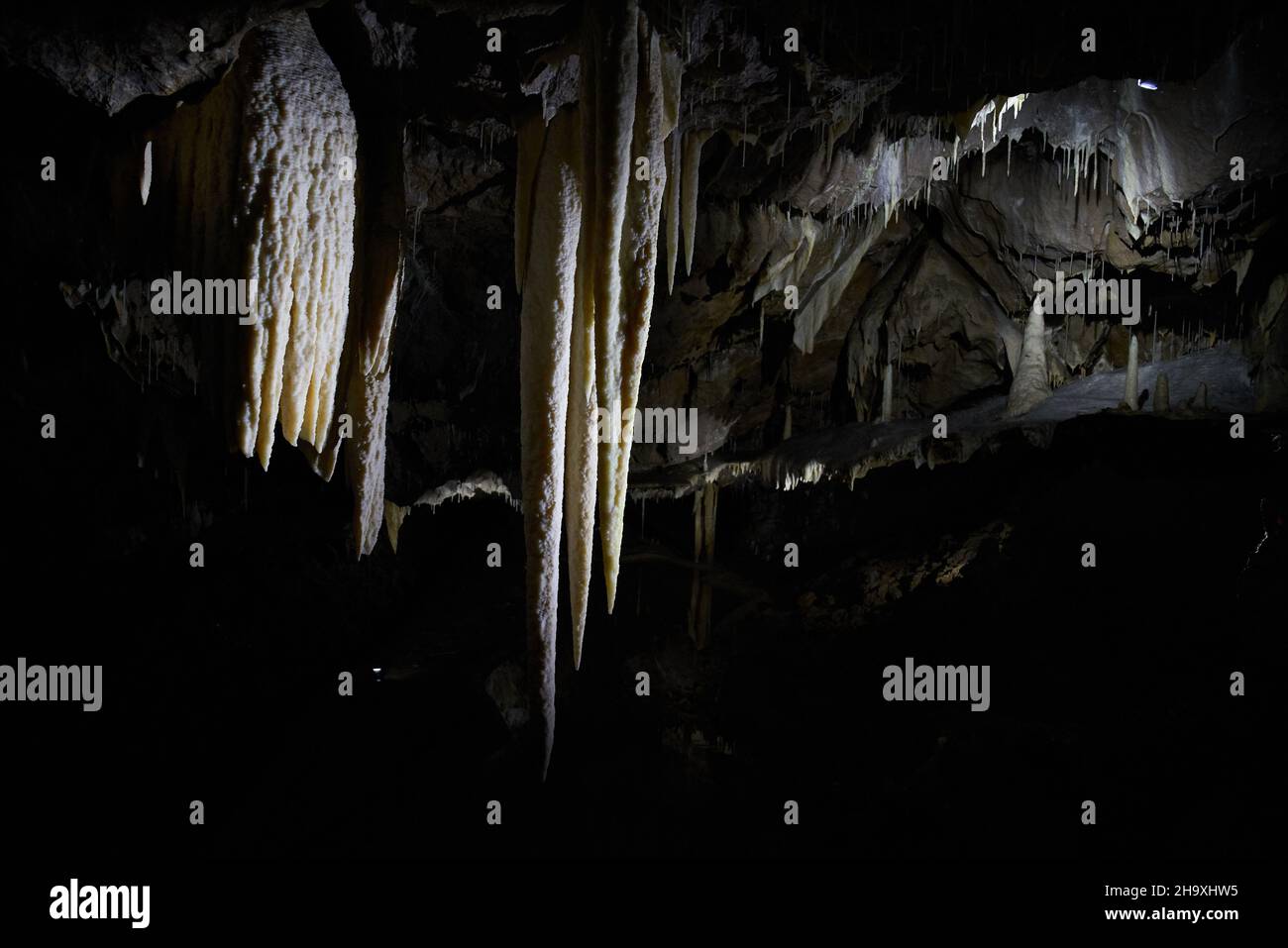 Limestone formations inside Macocha caves Stock Photo - Alamy