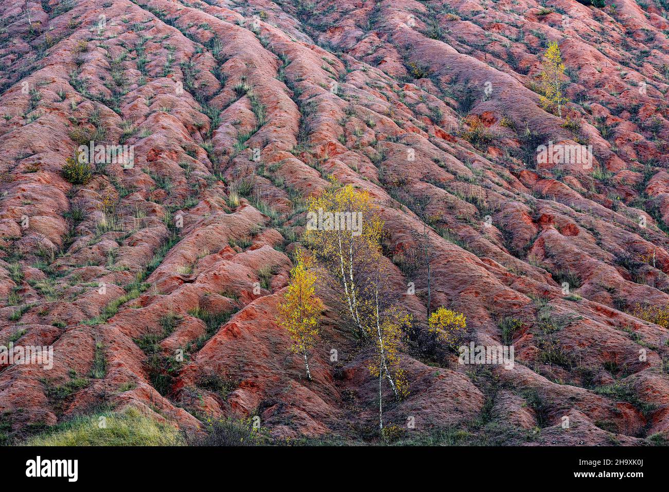 Attle hi-res stock photography and images - Alamy