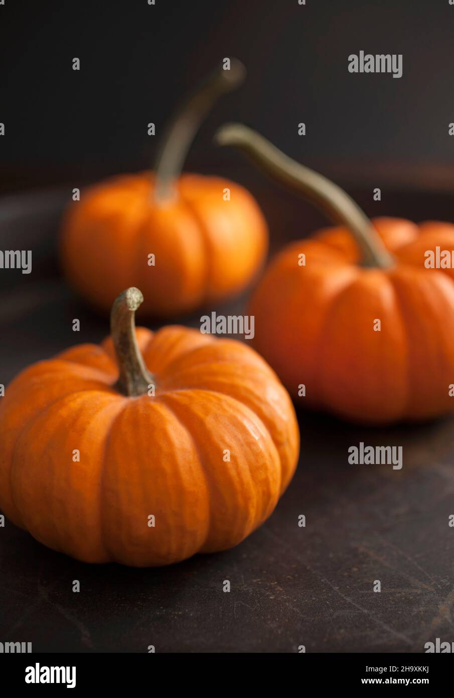 Three orange mini pumpkins Stock Photo - Alamy