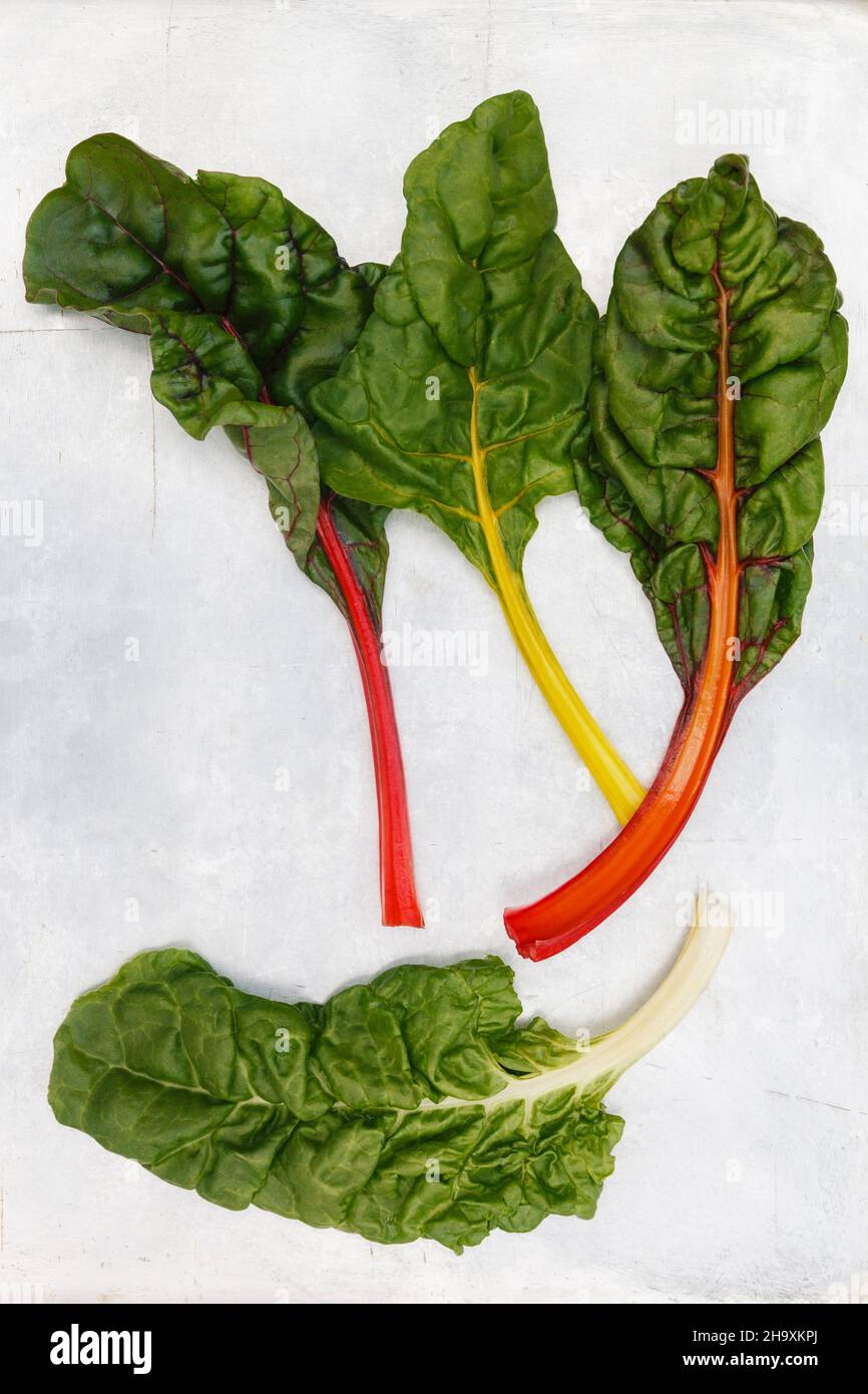 Various different coloured chard leaves Stock Photo - Alamy