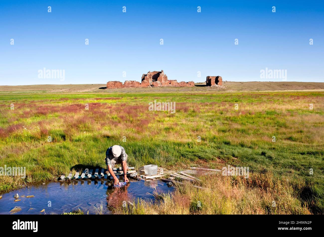 Collecting water in the gobi desert Stock Photo - Alamy
