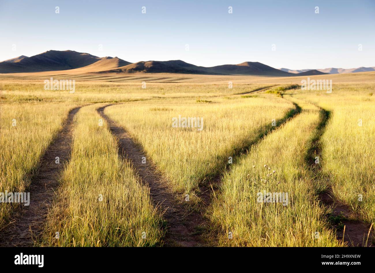 Two roads meet and separate in the Gobi Desert. Mongolia Stock Photo ...