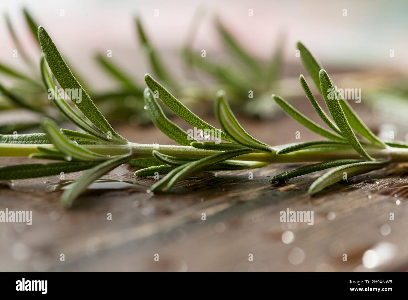 Rosemary stalk hi-res stock photography and images - Alamy