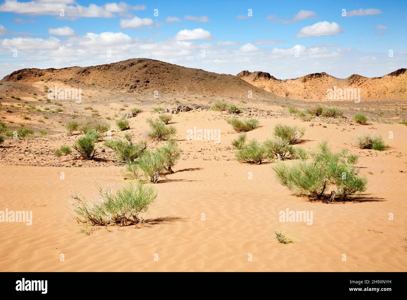Gobi Desert landscape in Mongolia. grim picture Stock Photo - Alamy