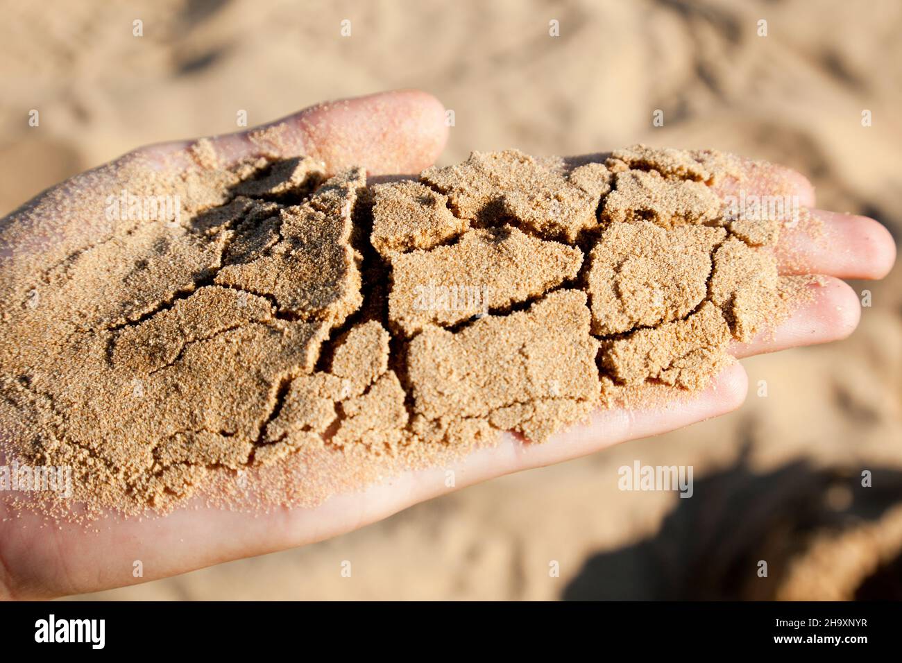 a hand with desert sand creating cracks and drought Stock Photo - Alamy