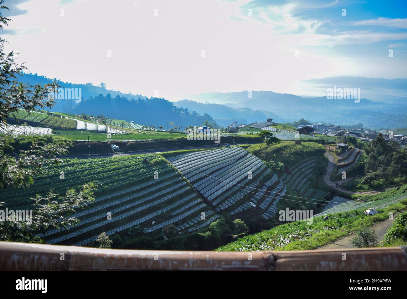 view of the Nepal van java is a Rural tour on the slopes of mount sumbing, The beauty of ...