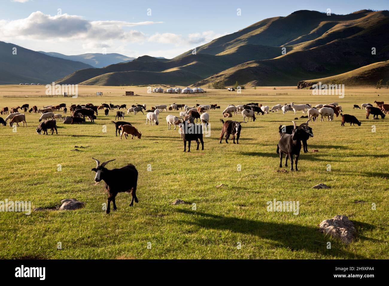 Orkhon valley unesco world heritage site hi-res stock photography and ...