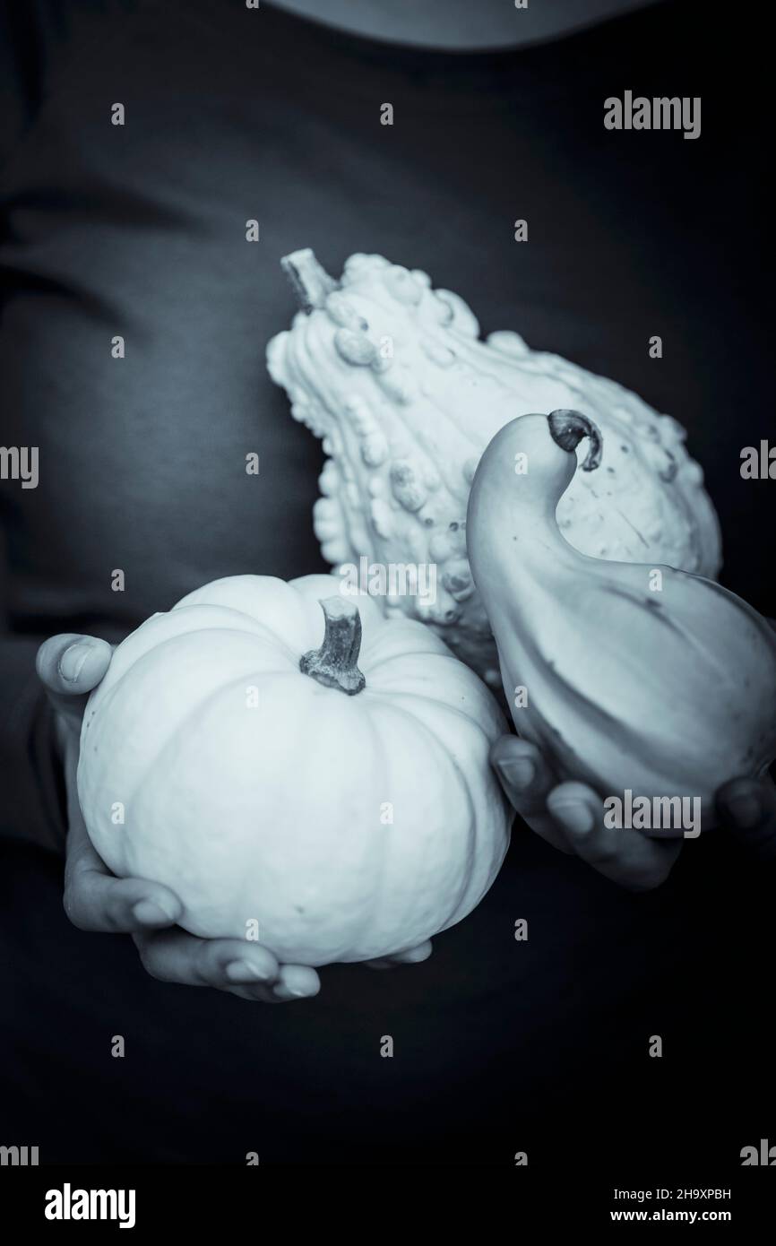 Woman holding different up hi-res stock photography and images - Alamy