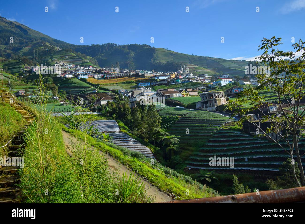 view of the Nepal van java is a Rural tour on the slopes of mount sumbing, The beauty of ...