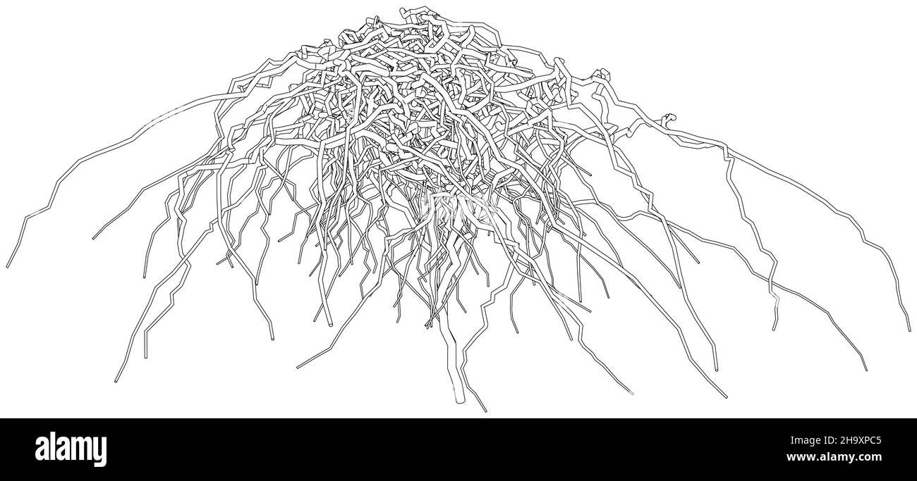 Outline a dried shrub without leaves Stock Photo - Alamy