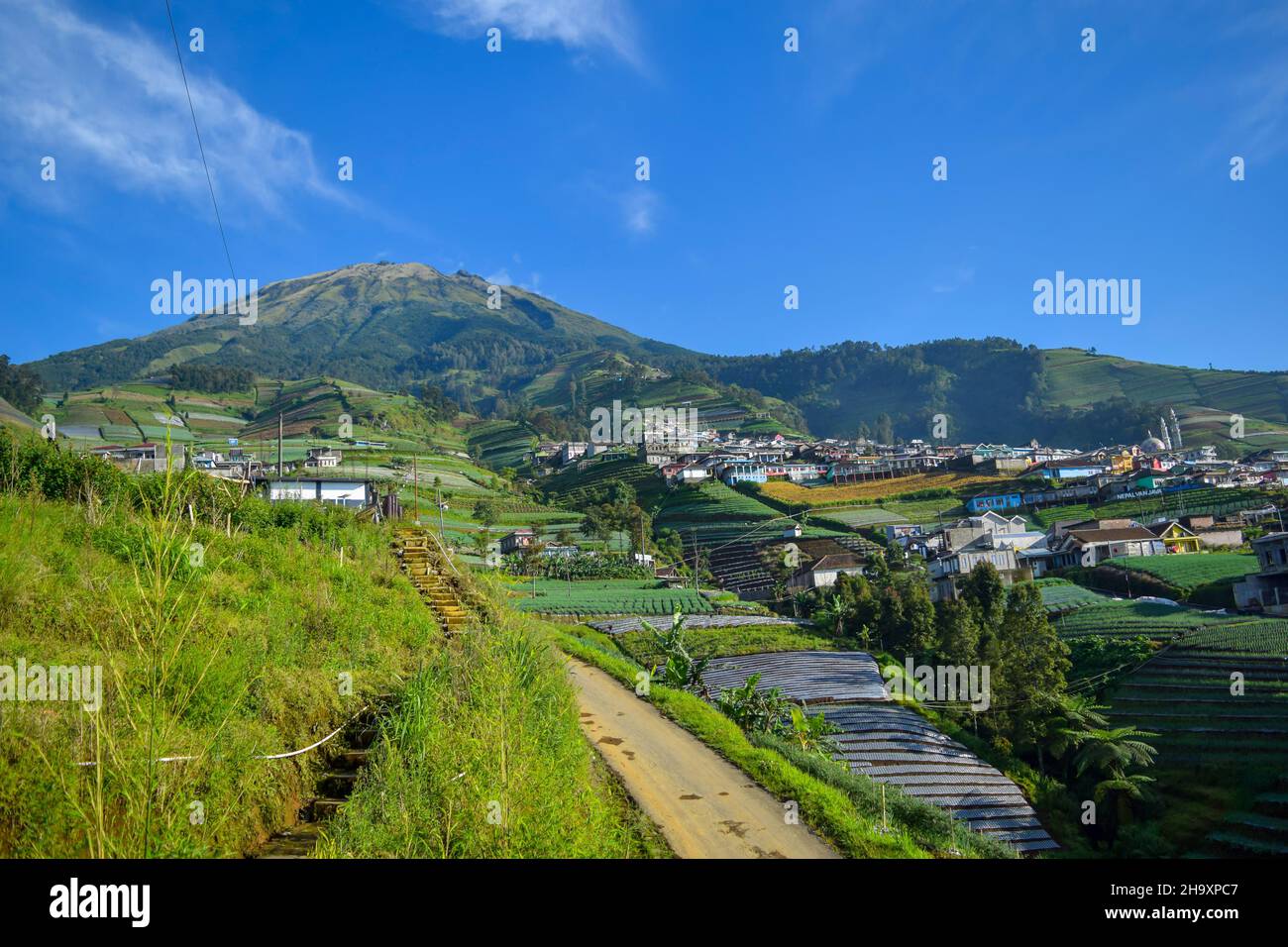 view of the Nepal van java is a Rural tour on the slopes of mount sumbing, The beauty of ...
