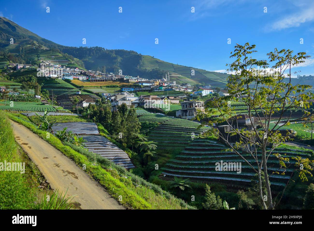 view of the Nepal van java is a Rural tour on the slopes of mount sumbing, The beauty of ...