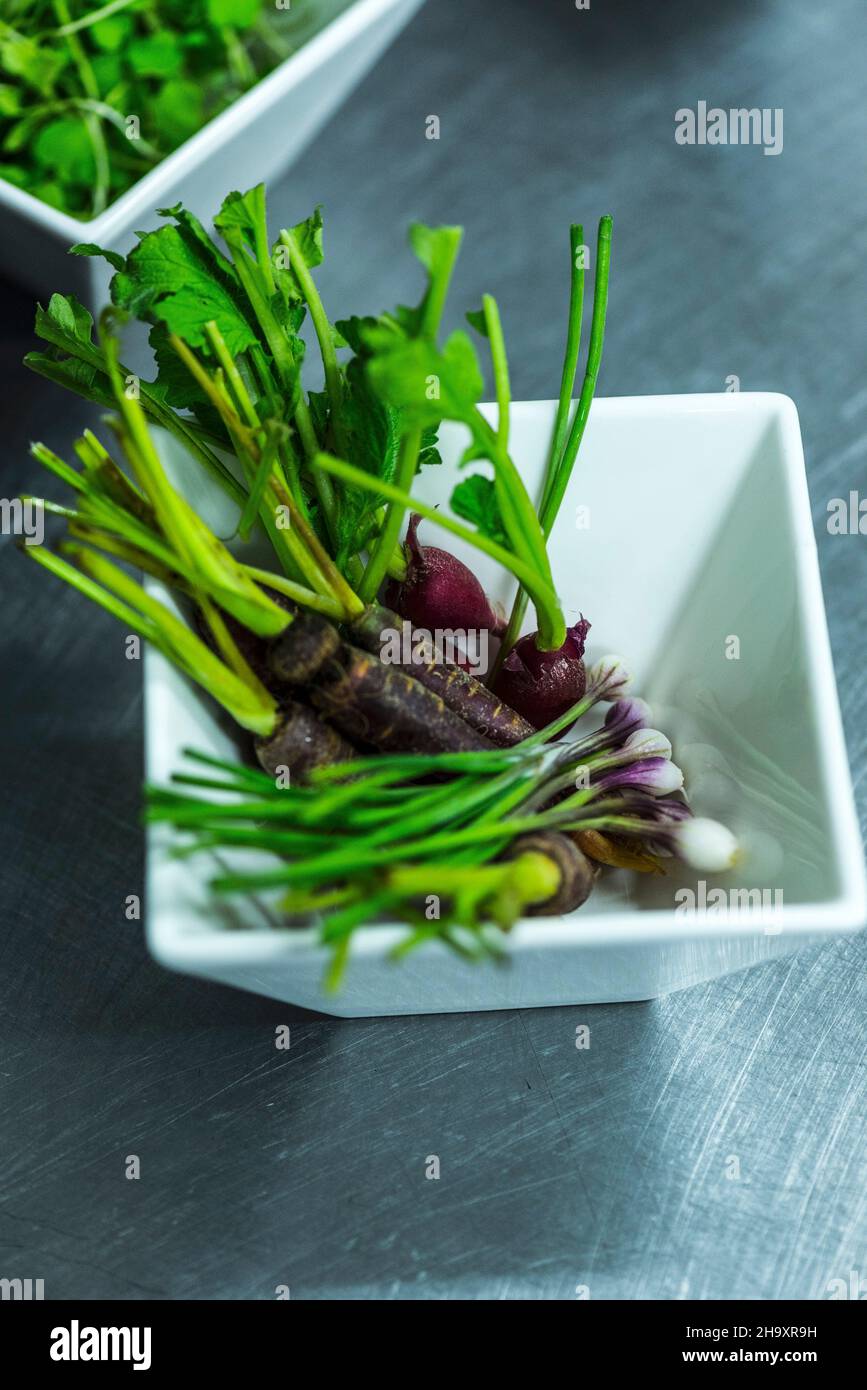 Micro vegetables hi-res stock photography and images - Alamy