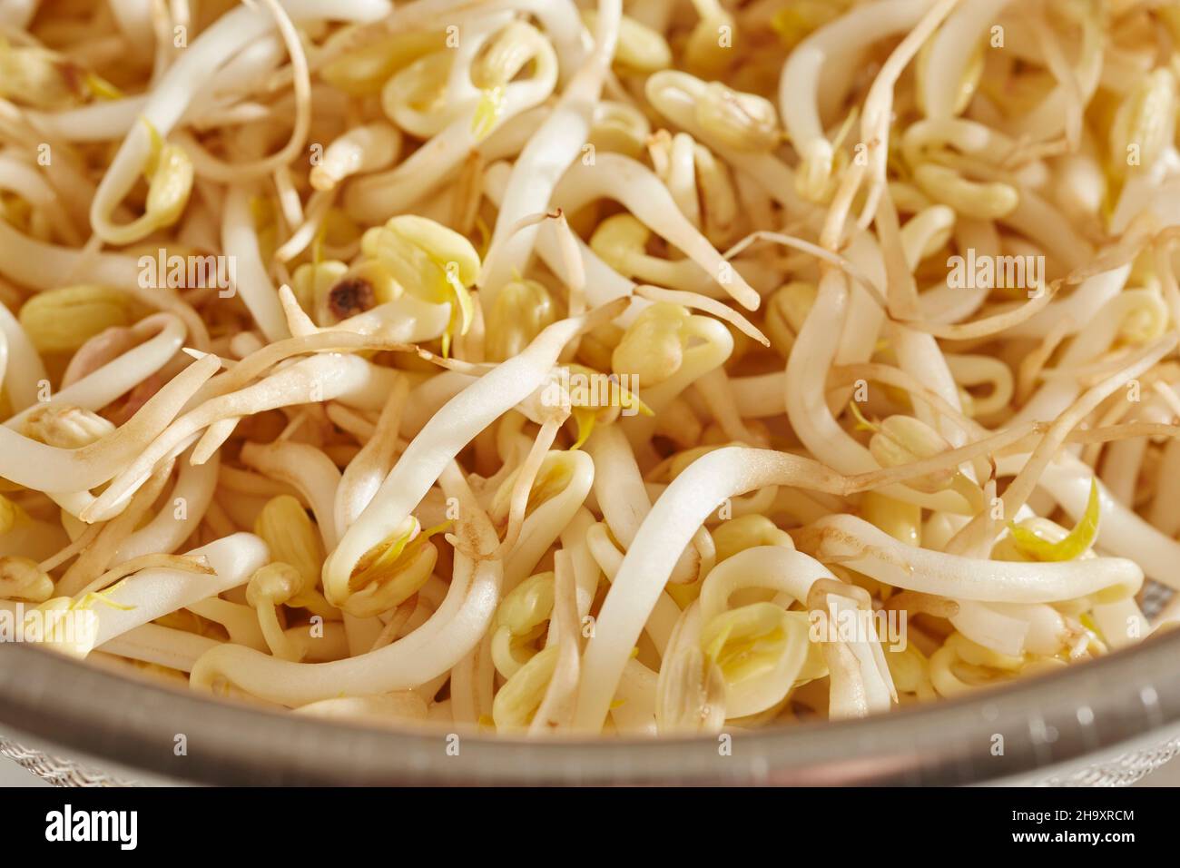 Fresh soy hi-res stock photography and images - Alamy