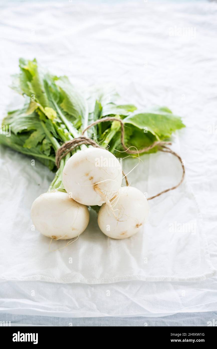 A bundle of white turnips on a pale background Stock Photo - Alamy