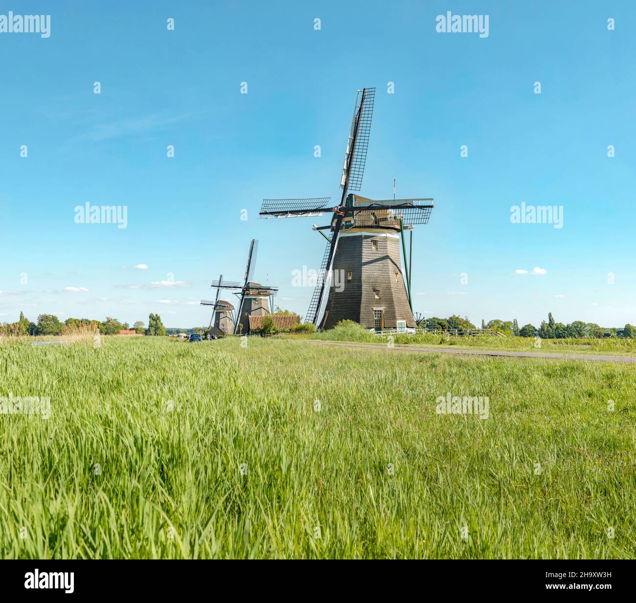 The three windmill of Stompwijk Stock Photo - Alamy