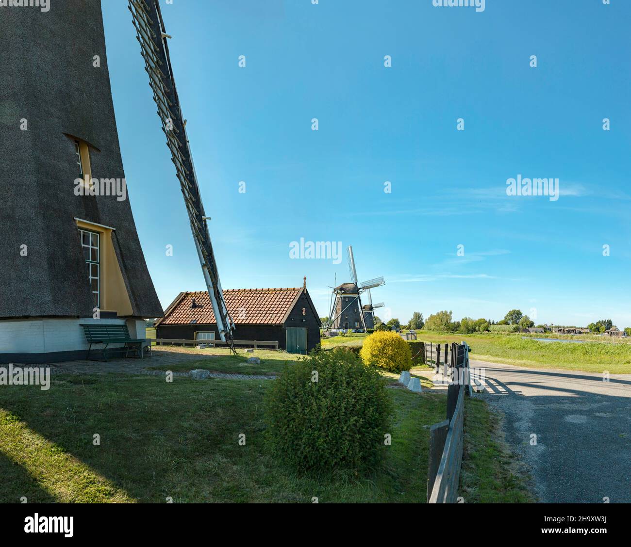 The three windmill of Stompwijk Stock Photo - Alamy