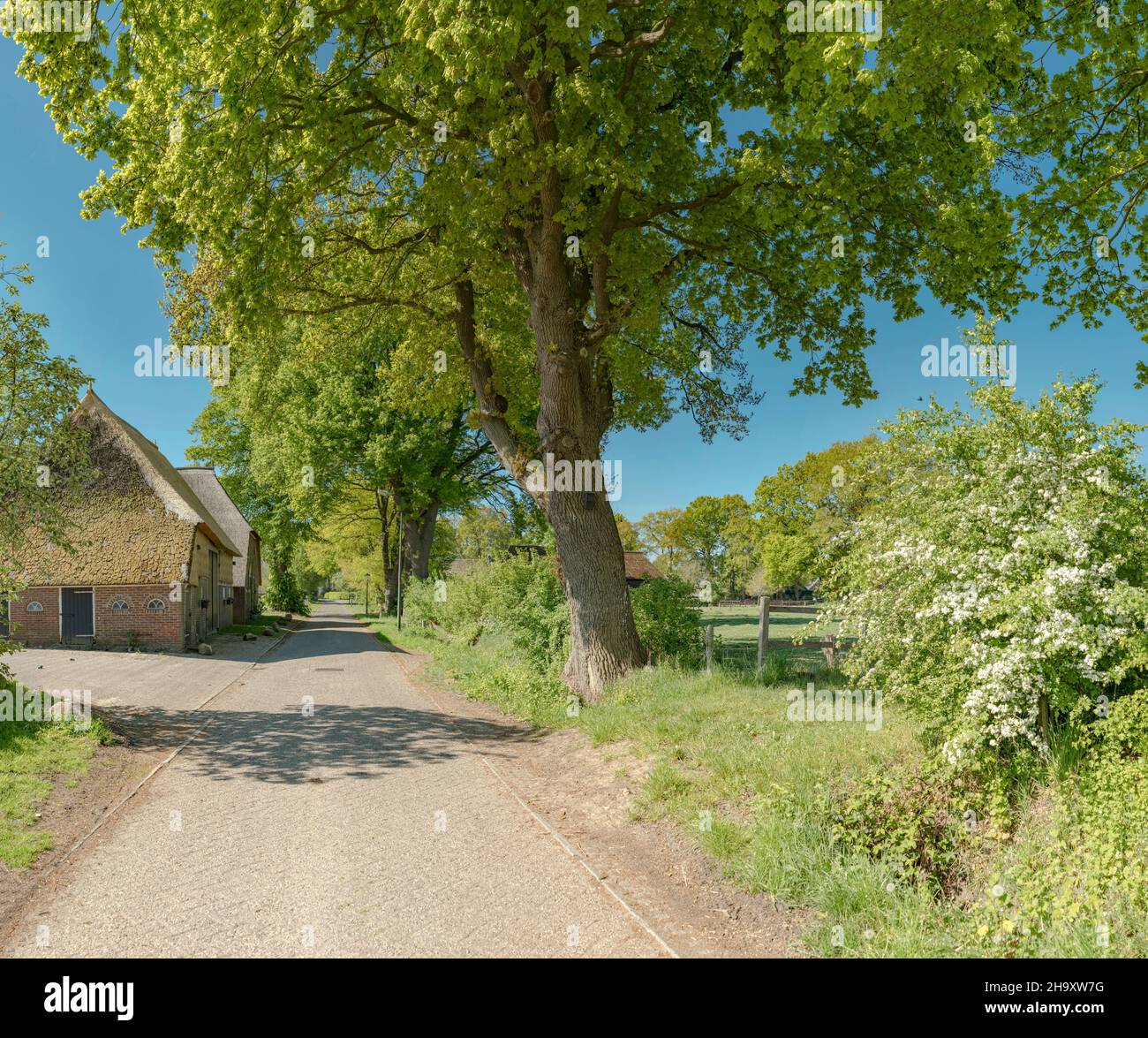Farmhouses at a back road Stock Photo - Alamy