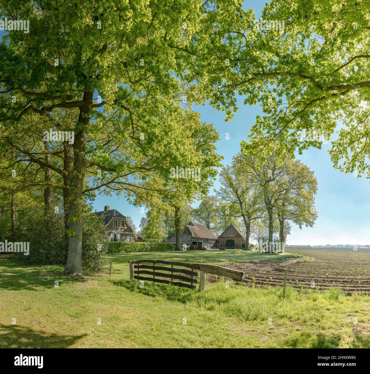 Farmhouses along the main road Stock Photo - Alamy
