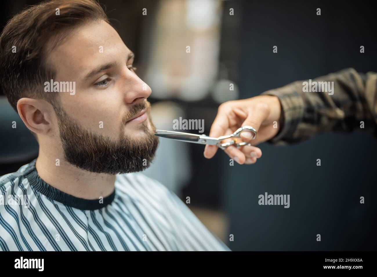 Attractive barber doing haircut hi-res stock photography and images - Alamy