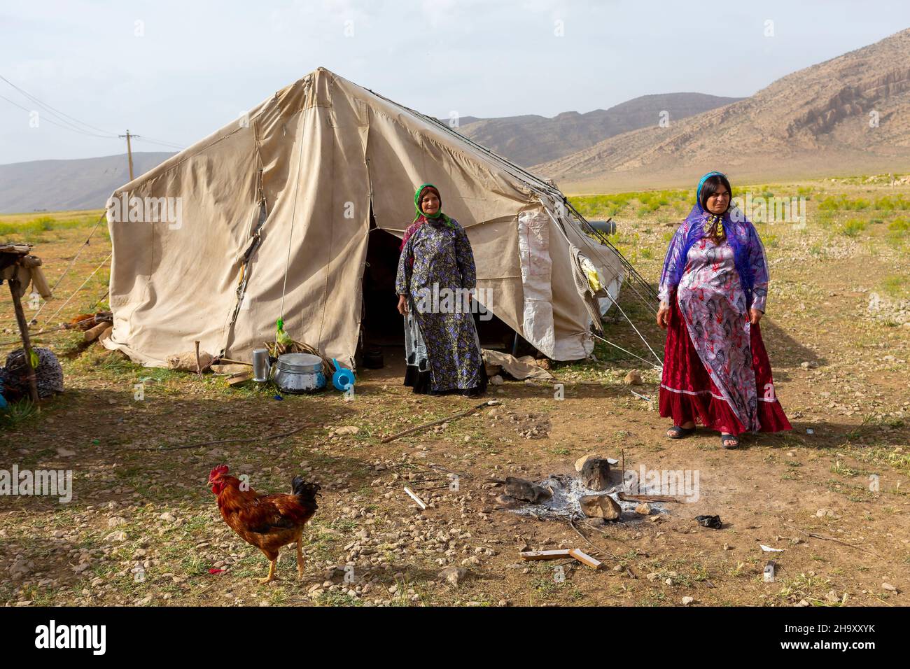 Shiraz, Iran - May 11, 2018: Qashqai nomadic women making cheese ...
