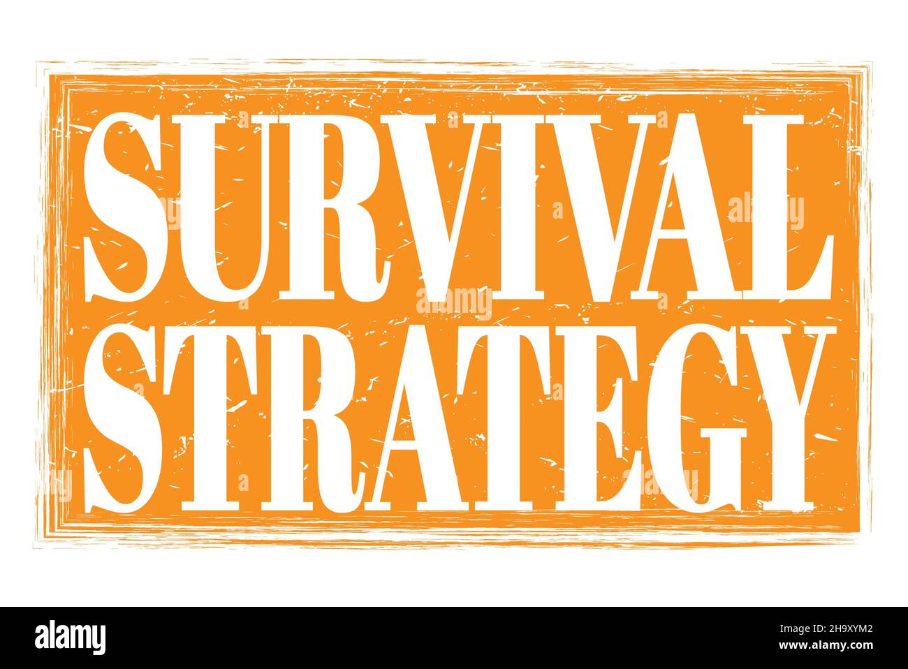 SURVIVAL STRATEGY, words written on orange grungy stamp sign Stock ...