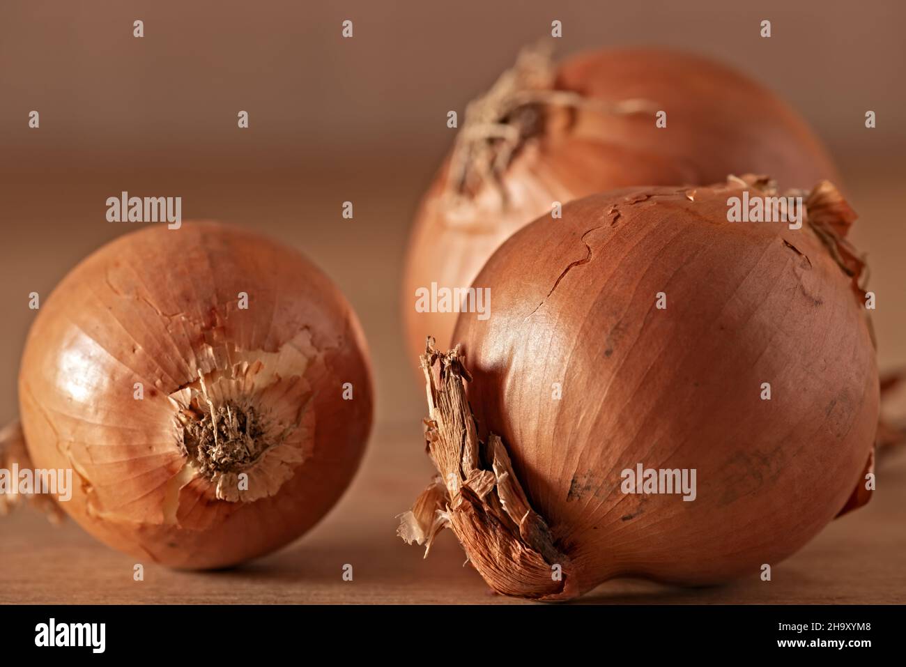 cipolle fresche ramate macro vista fronte Stock Photo - Alamy