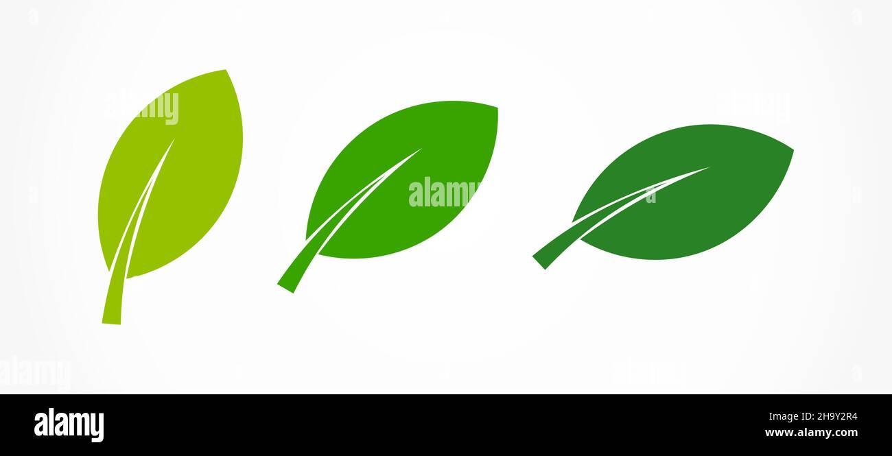 Three green leaves icons. Vector illustration Stock Vector Image & Art ...