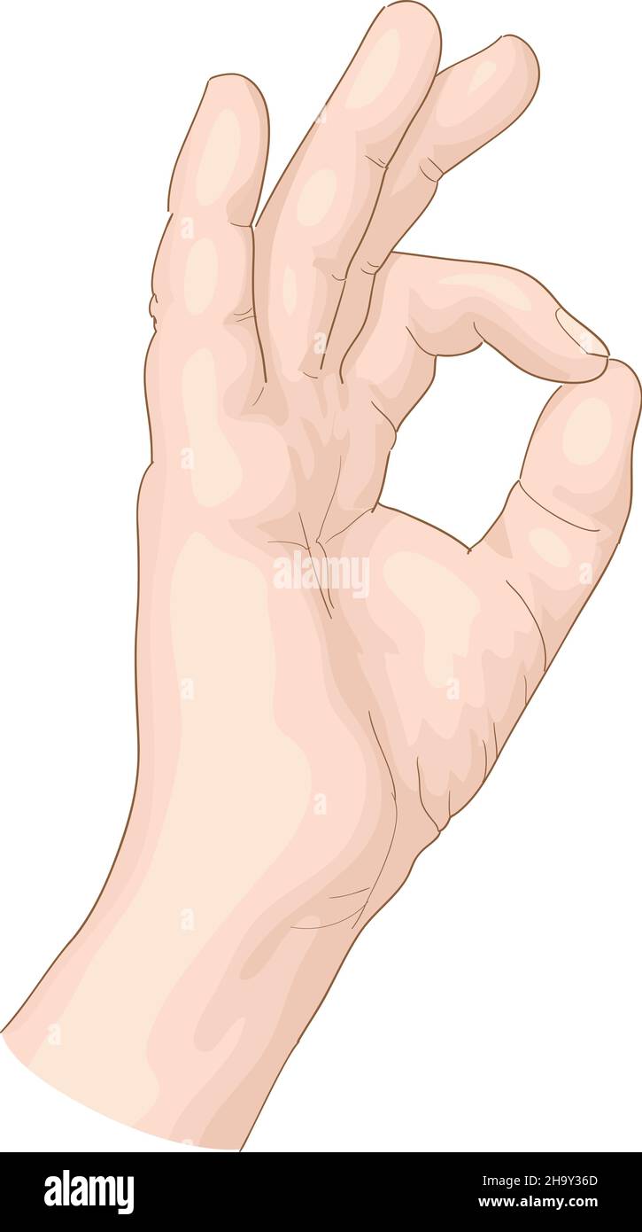 OK sign. Vector illustration Stock Vector Image & Art - Alamy OK sign. Vector illustration Stock Vector Image & Art - Alamy