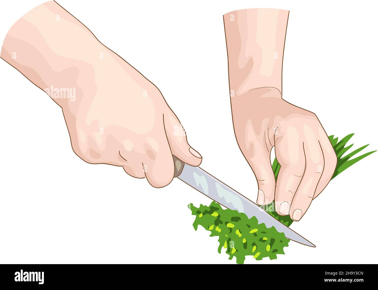 Chef hands. Vector illustration Stock Vector Image & Art - Alamy