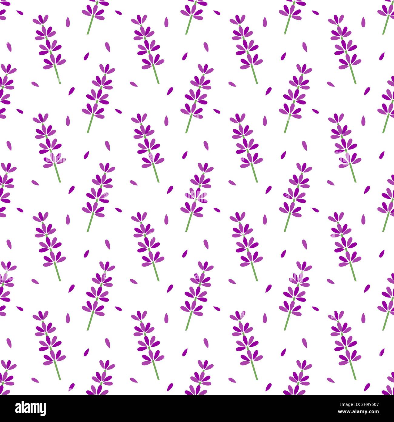 Lavender flowers seamless pattern. Vector illustration Stock Vector ...