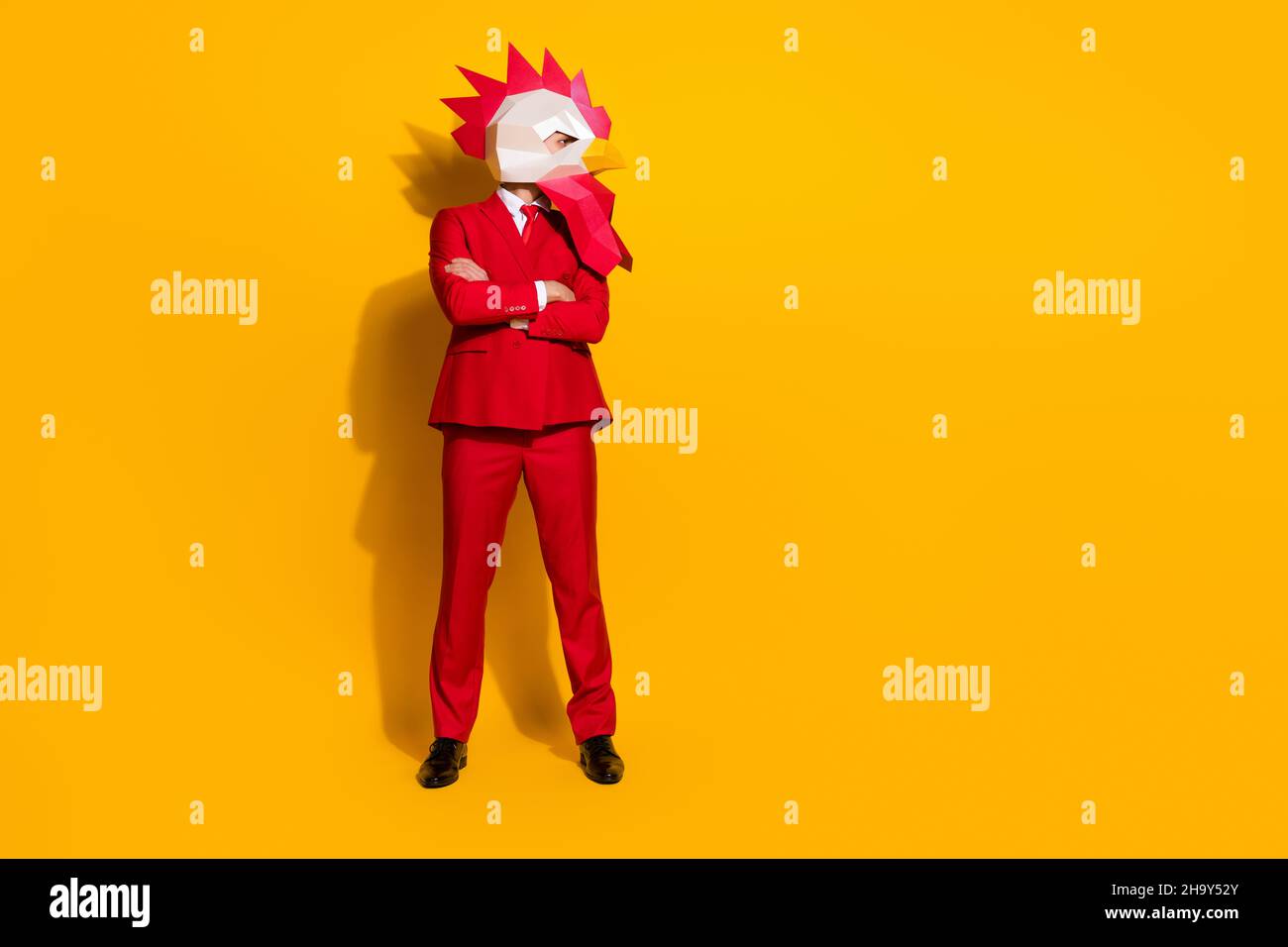 Photo of charismatic unusual employee crossed arms wear rooster mask ...