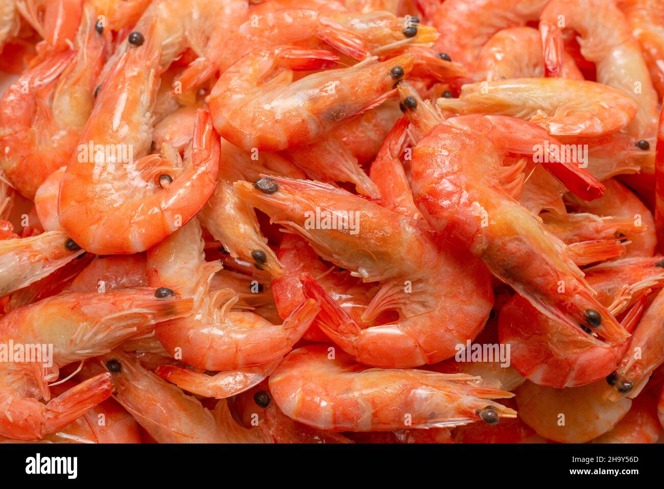 Shrimps background texture. A lot of shrimps. Cooked shrimps Stock ...