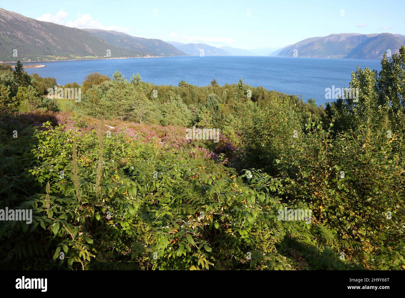 Norwegen - Sognefjord bei Nordrevik und Vadheim / Norway - Sognefjorden ...