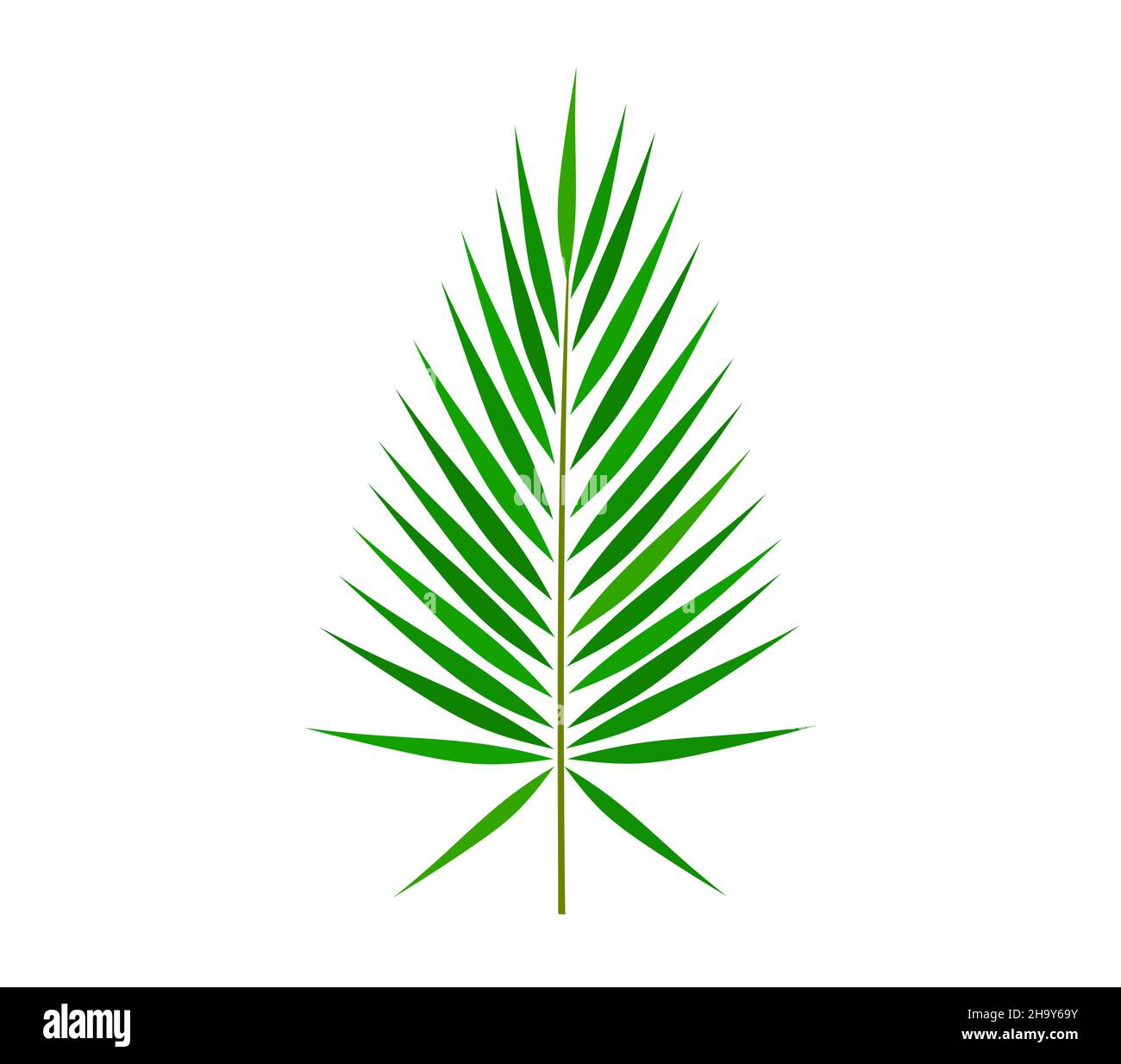 Palm leaf icon. Vector illustration Stock Vector Image & Art - Alamy