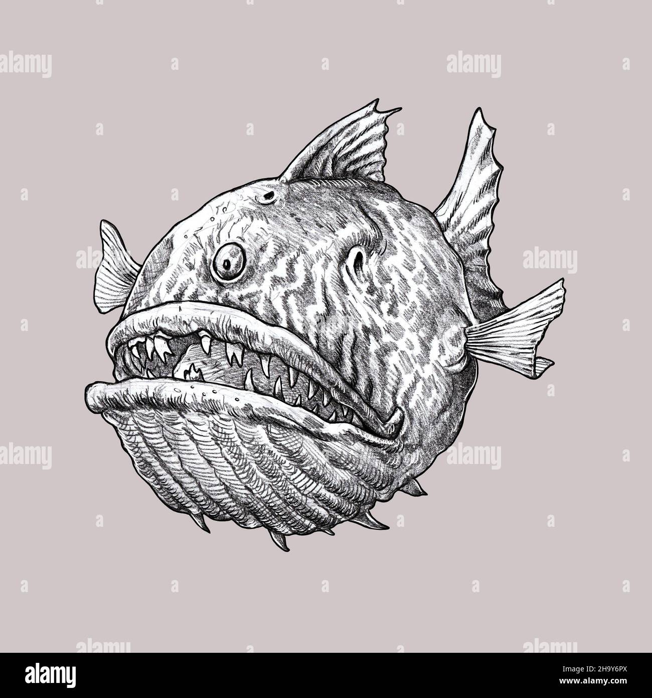 Fantasy shark art hi-res stock photography and images - Alamy