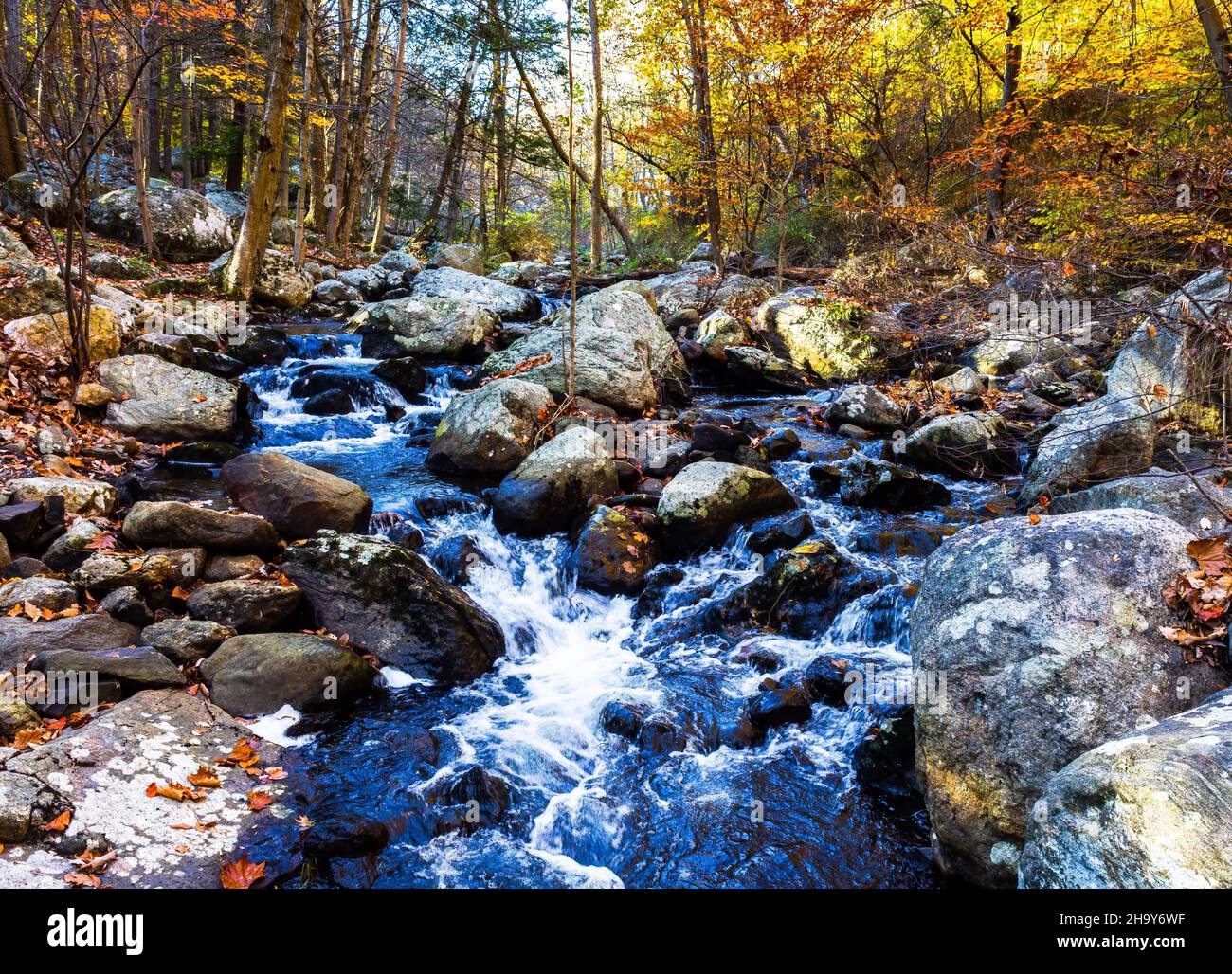 Peaceful scene of a small brook flowing through rocks Stock Photo - Alamy