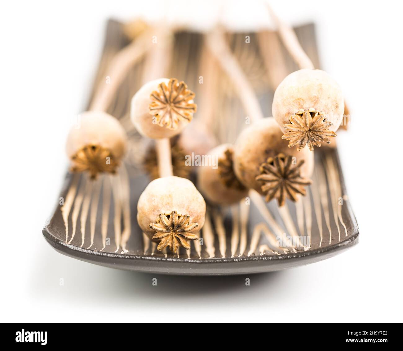 Poppy seed capsules hi-res stock photography and images - Alamy