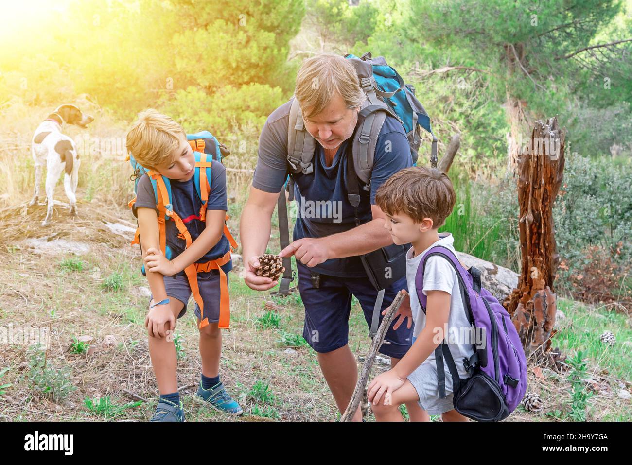 Scout dog team hi-res stock photography and images - Alamy