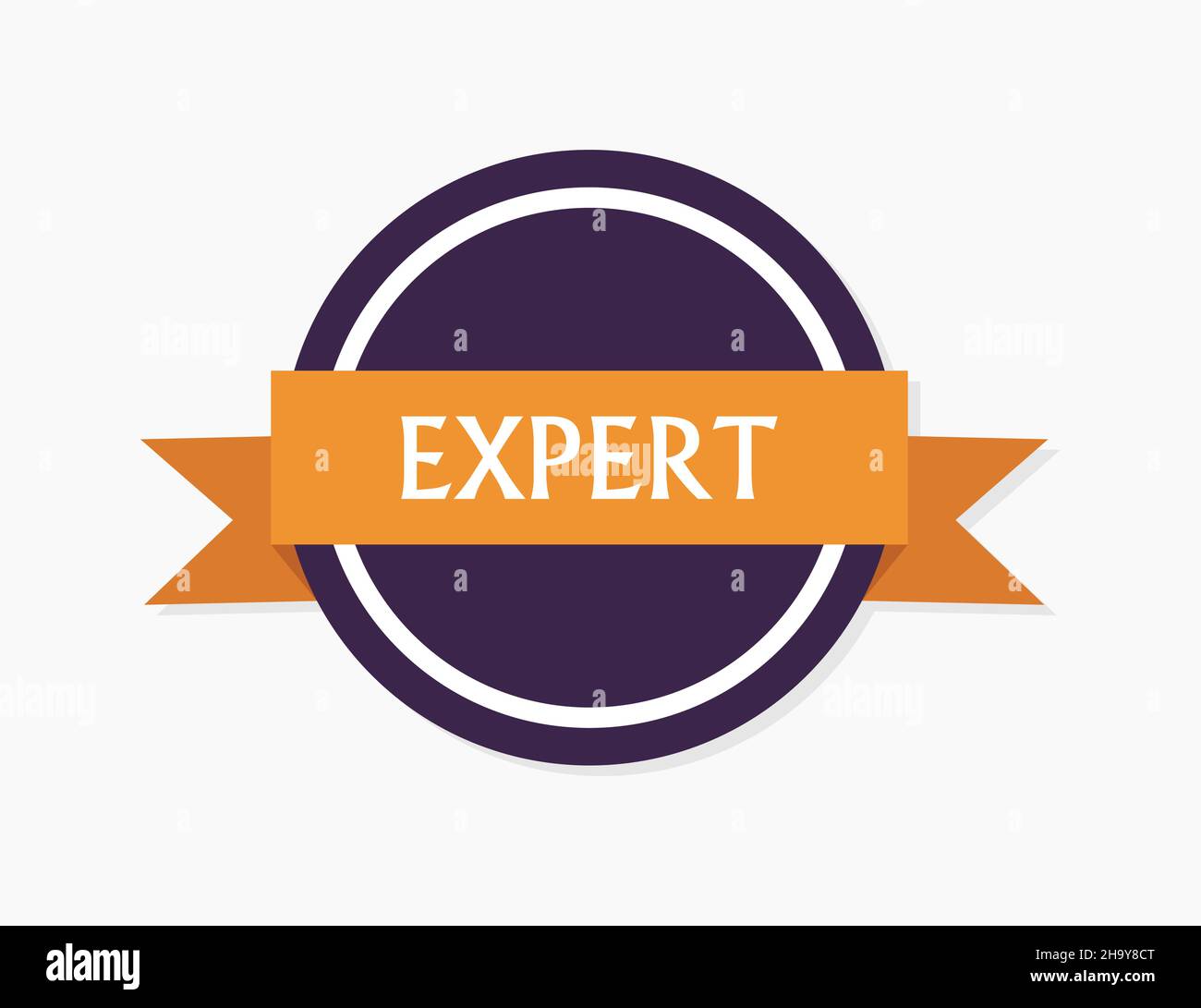 Expert badge flat design symbol. Vector illustration Stock Vector Image ...