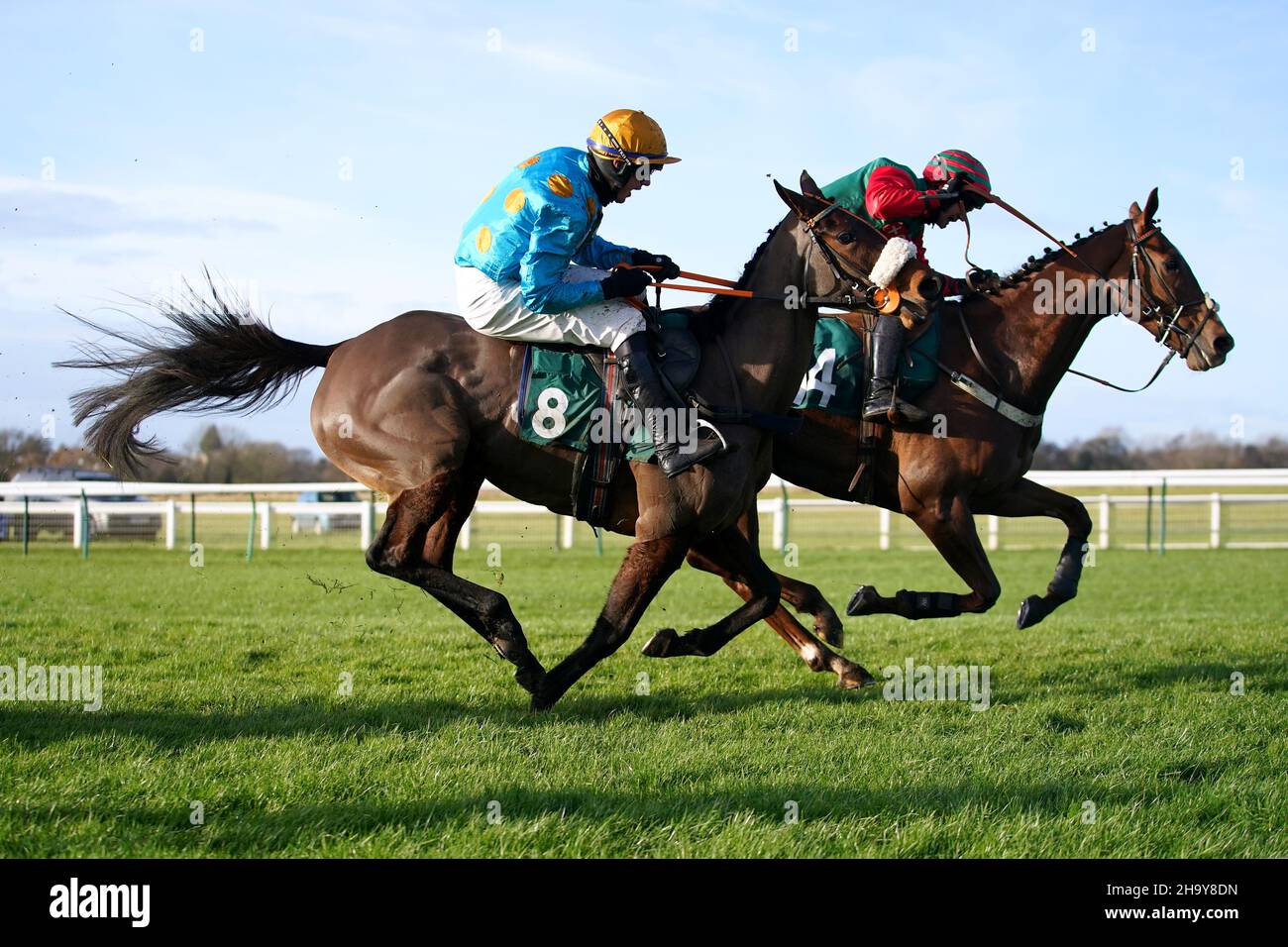 Glimpse of gala horse hi-res stock photography and images - Alamy