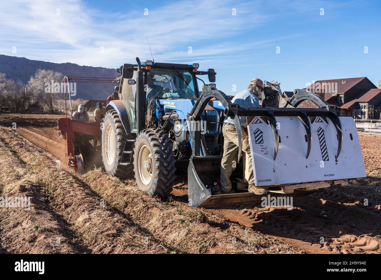 A box in the front loader of the tractor holds the separated potatoes ...