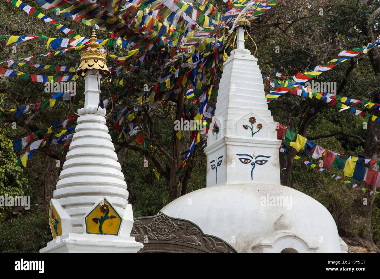 Buddhist prayer flags and the Vasubhandu Memorial Caitya in the ...