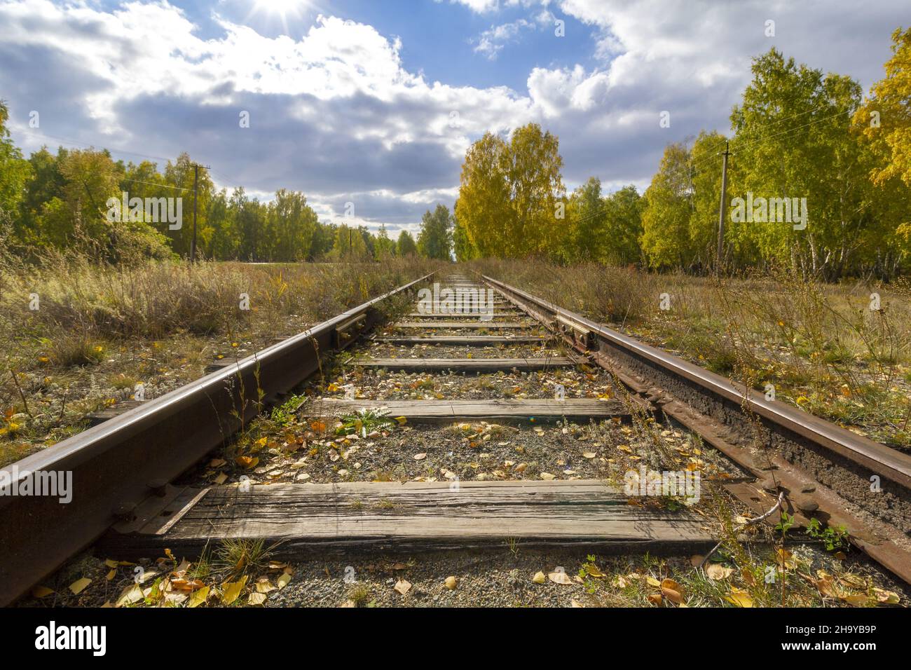 The railroad tracks go into the distance under the blue sky and through ...
