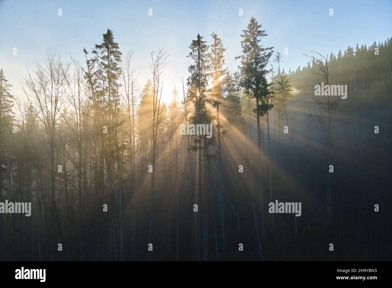 Aerial view of brightly illuminated with sunlight beams foggy dark ...