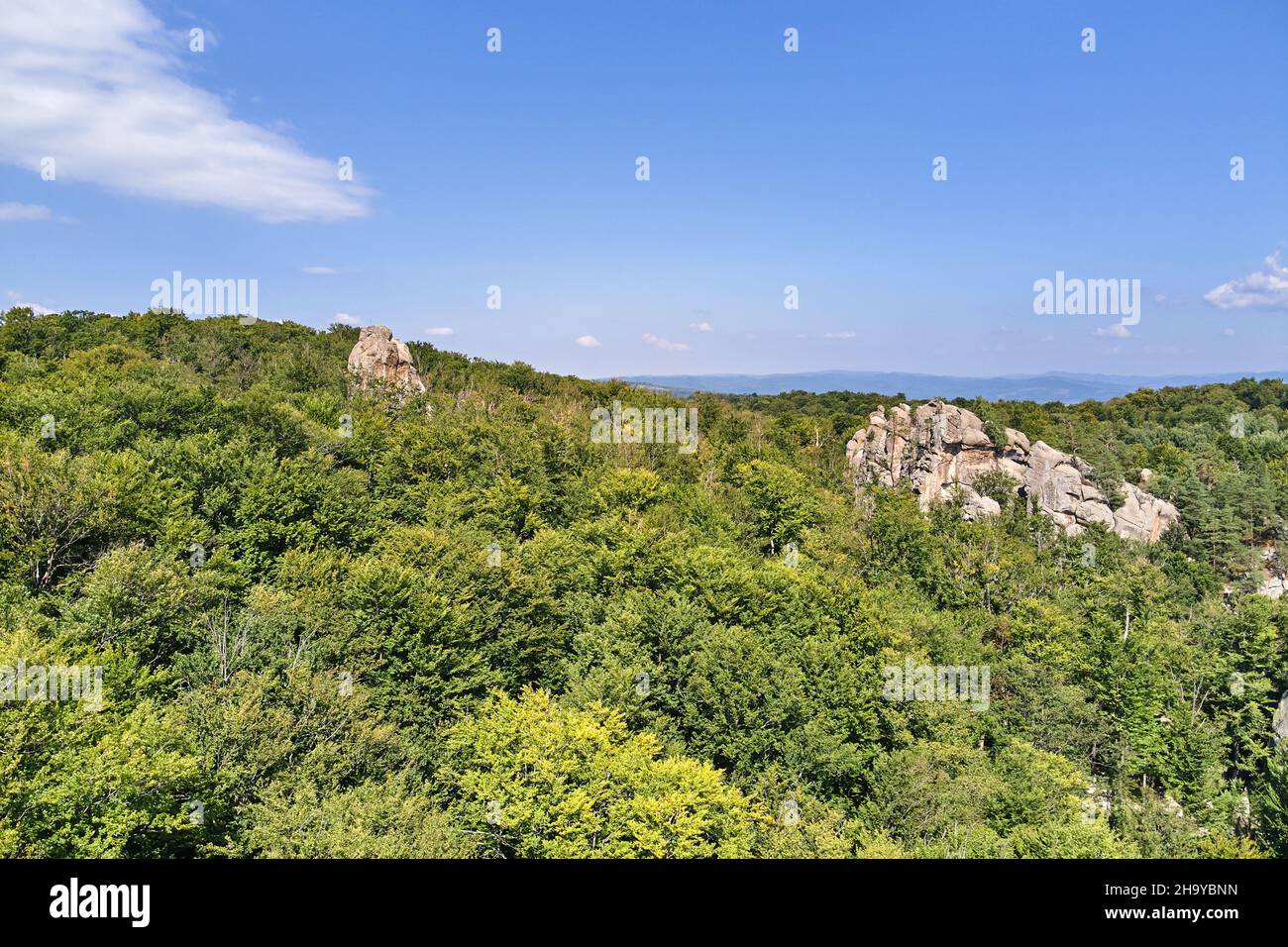 Aerial view of bright landscape with green forest trees and big rocky ...