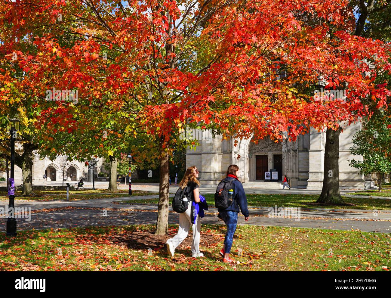 Princeton Campus Fall