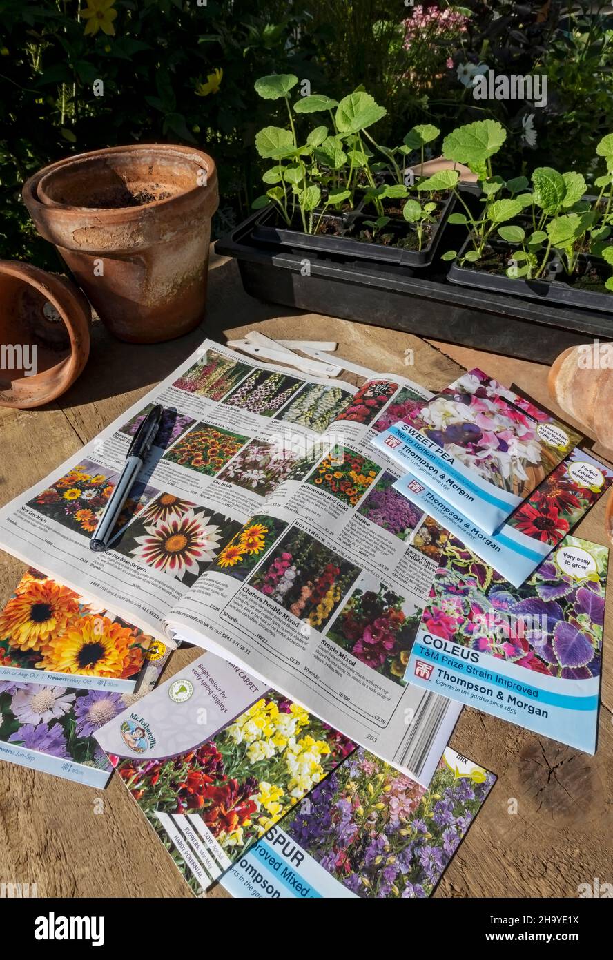 Seed catalogue hi-res stock photography and images - Alamy